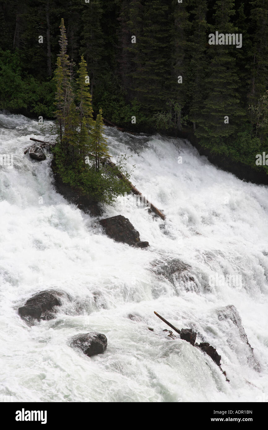 Kinaskan lake provincial park hi-res stock photography and images - Alamy