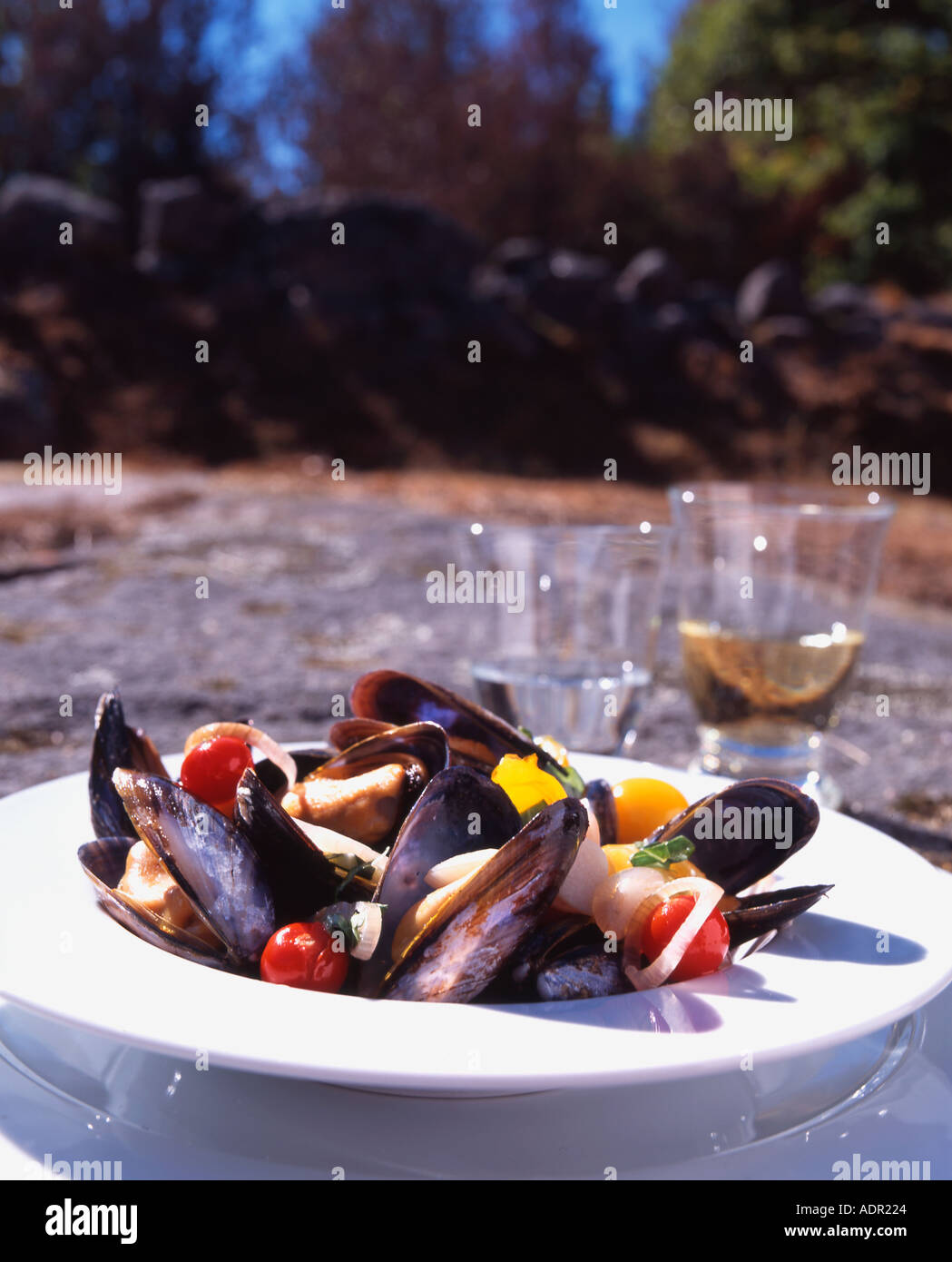 Miesmuscheln mit Tomaten und Zwiebeln Mussels with tomatoes and onion ...