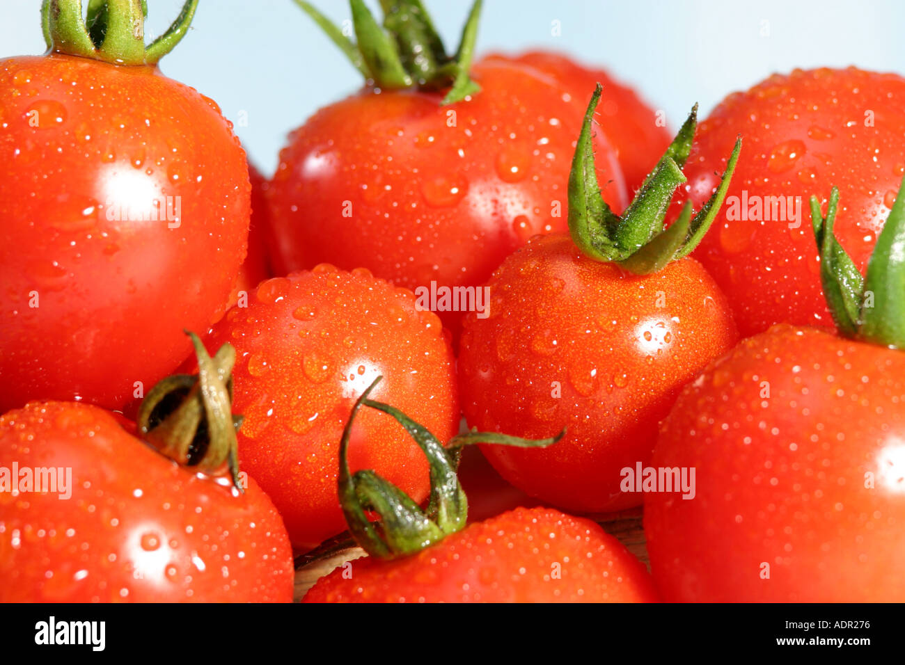 Tomaten pflanzen hi-res stock photography and images - Alamy
