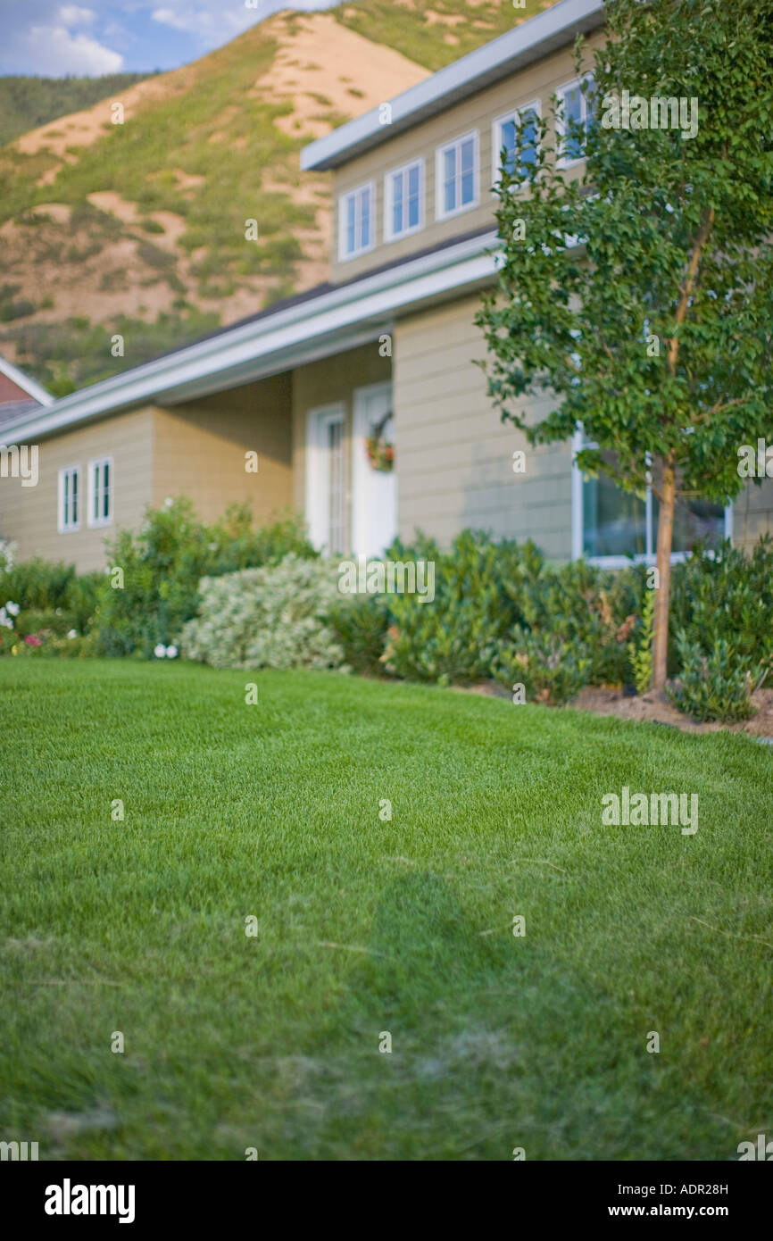 Tan home with green front yard Stock Photo - Alamy