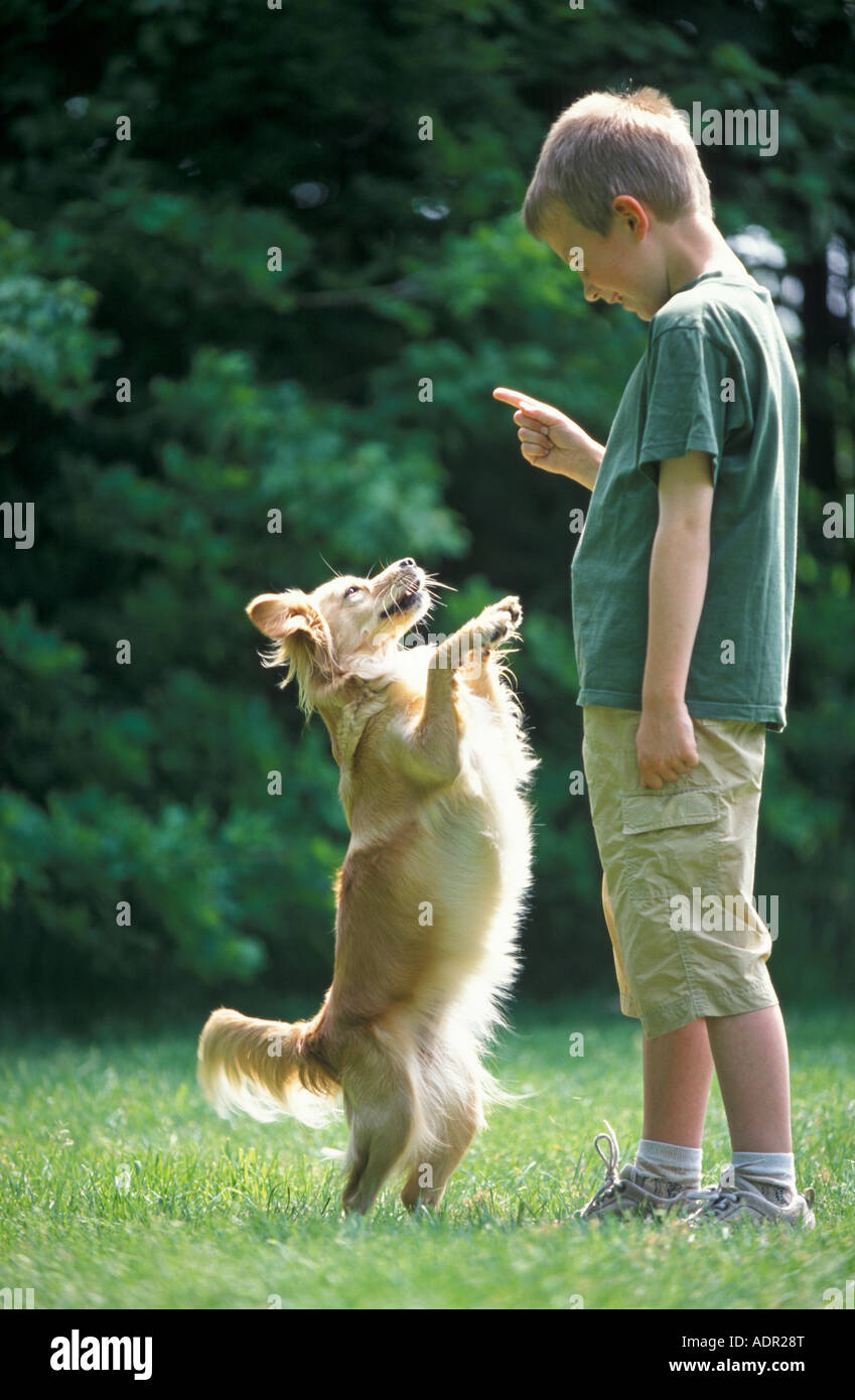 Little boy is training his dog Stock Photo - Alamy