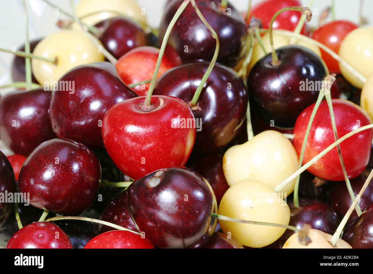 Verschiedene Kirschensorten Bunte Mischung Diffrent cherry types ...