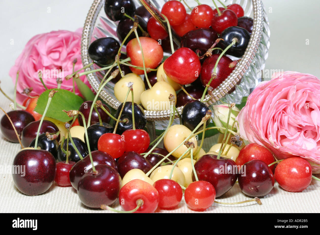 Verschiedene Kirschensorten Bunte Mischung Diffrent cherry types ...