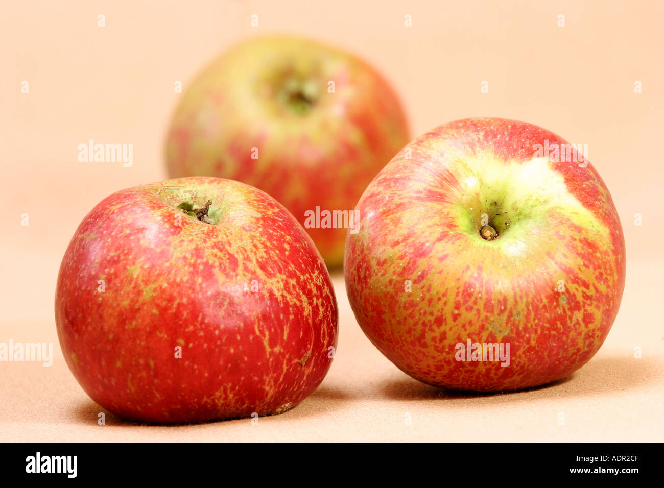 Apfelsorte hi-res stock photography and images - Alamy