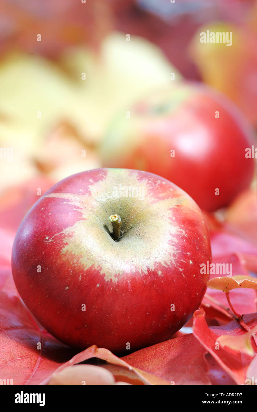 Apfelsorte High Resolution Stock Photography and Images - Alamy