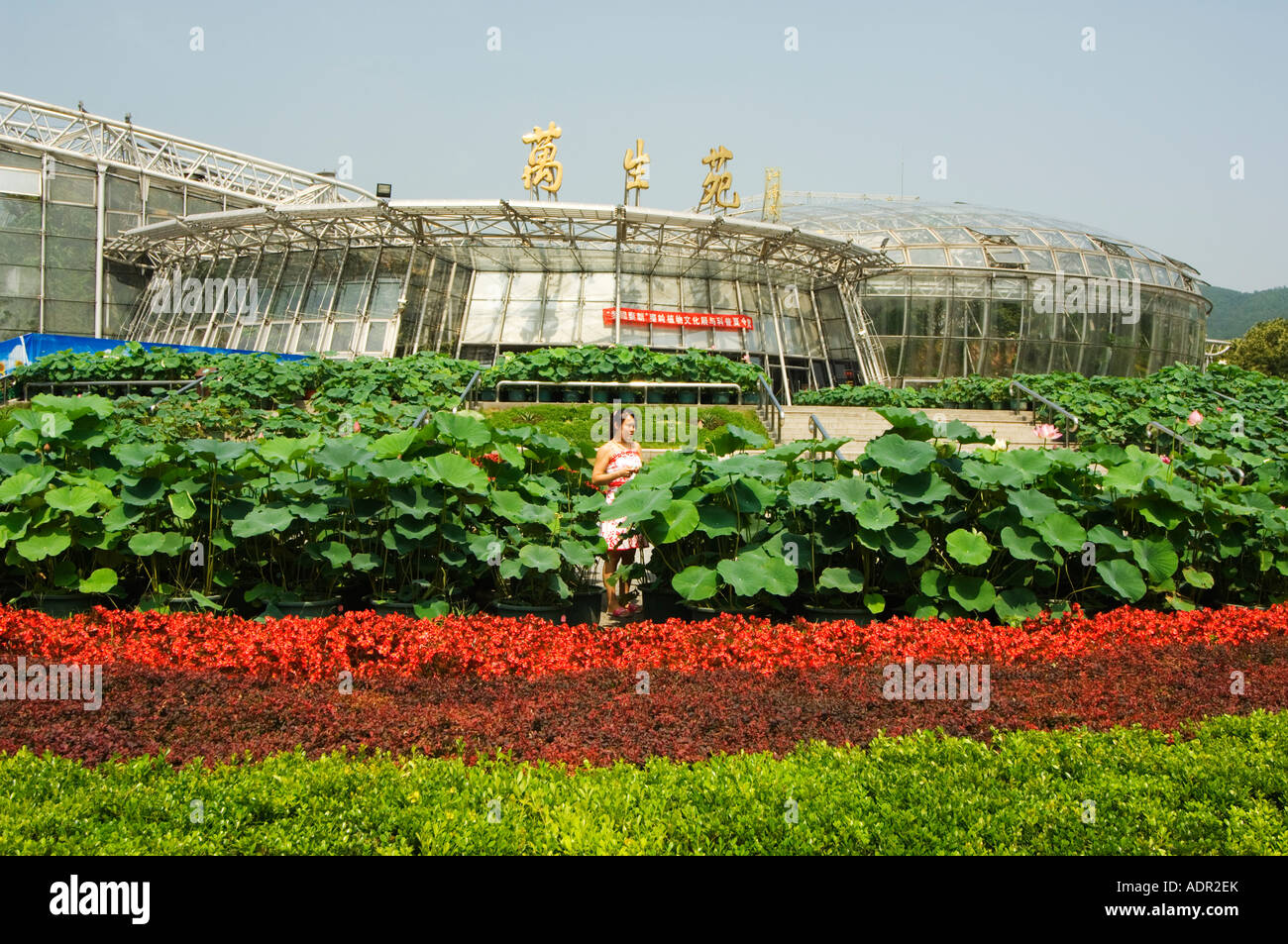 Contemporary architecture exterior daytime flowers gardens hi-res stock ...