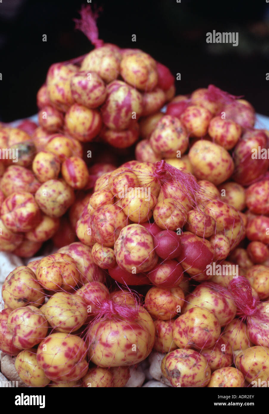 Andean potatoes - Sucre, Chuquisaca, BOLIVIA Stock Photo - Alamy