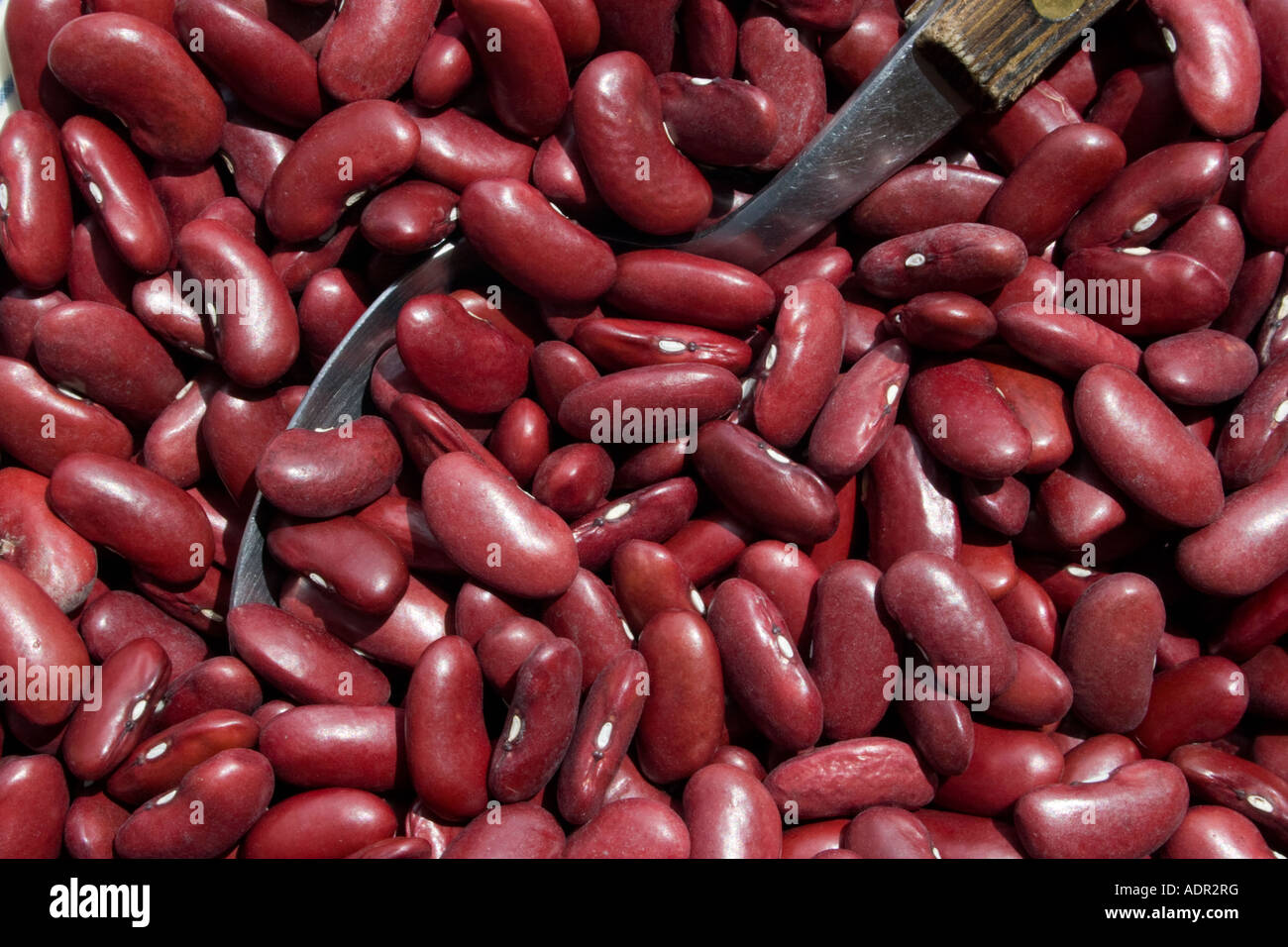 Closeup pile of red kidney beans and spoon Stock Photo - Alamy