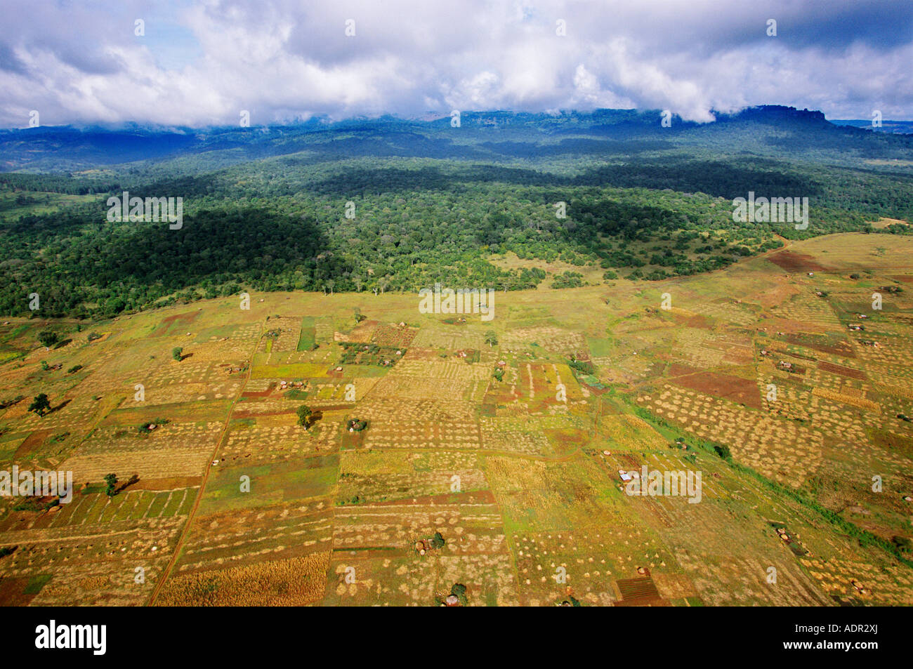 Mount elgon hi-res stock photography and images - Alamy