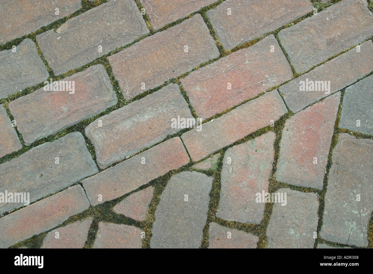 Brick Path Texture Moss is growing in the cracks Stock Photo - Alamy