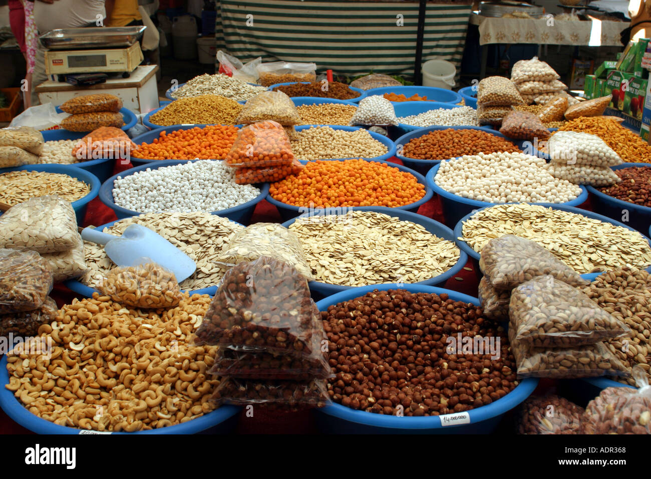 Turgutreis underwater hi-res stock photography and images - Alamy
