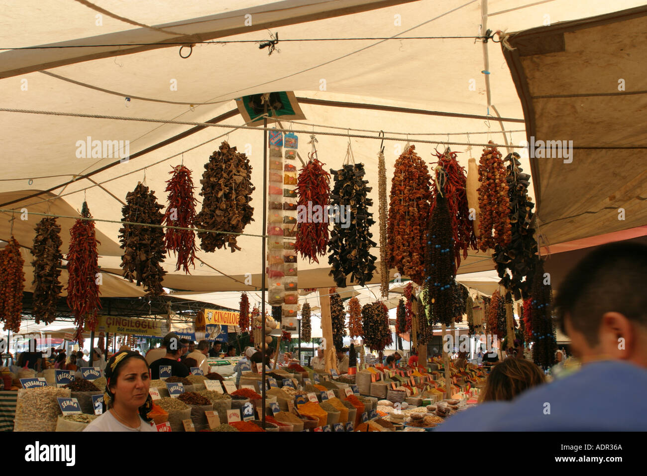 Turgutreis underwater hi-res stock photography and images - Alamy