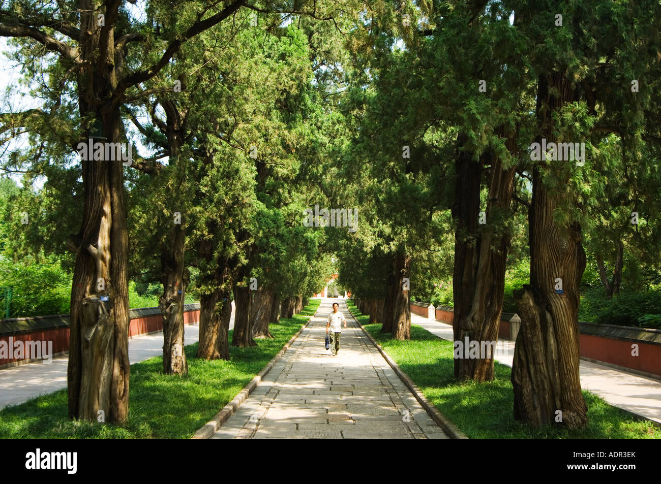 Wofo Si Temple of the Reclining Buddha Yang Dynasty 618 907 inside ...