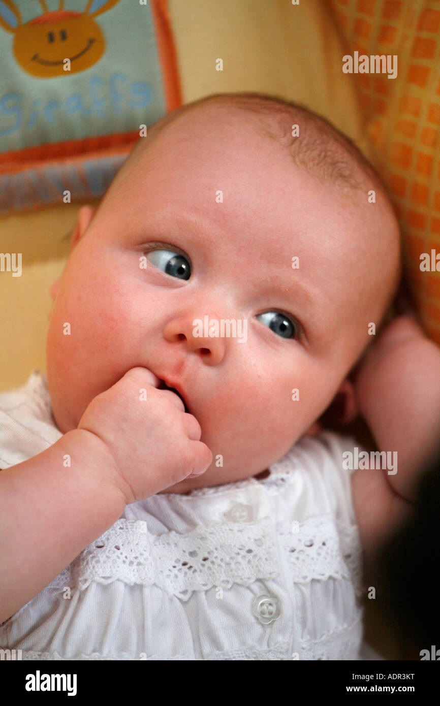 Model Released Ten week old baby girl Stock Photo - Alamy