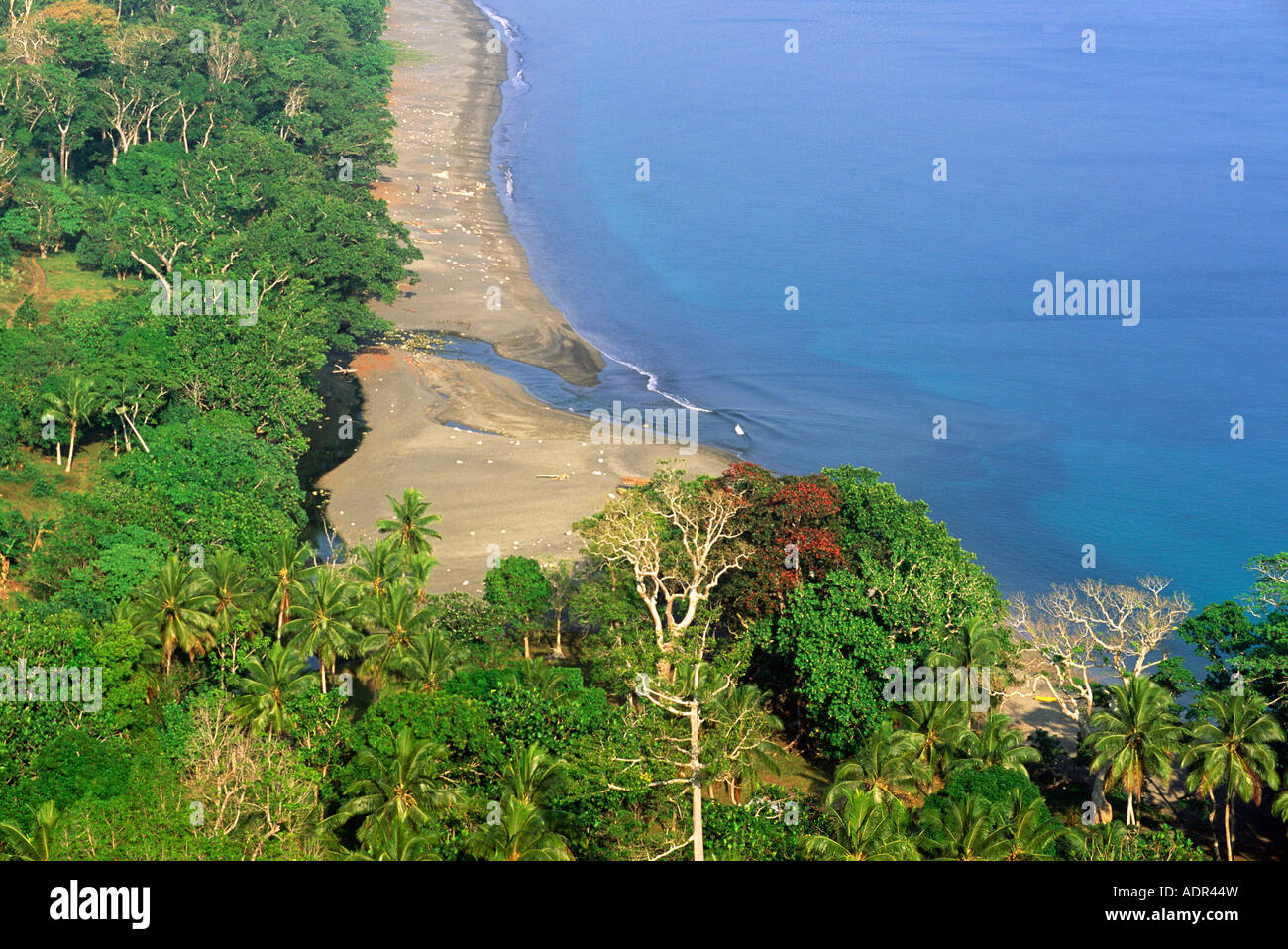 Empty beach and lowland forest Vatthe Conservation Area Espiritu Santo ...