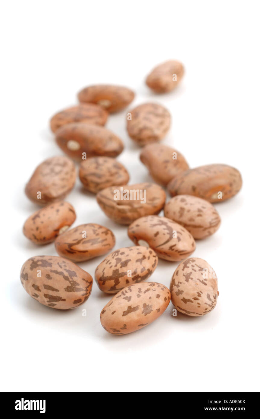 Dried Pinto Beans Stock Photo - Alamy