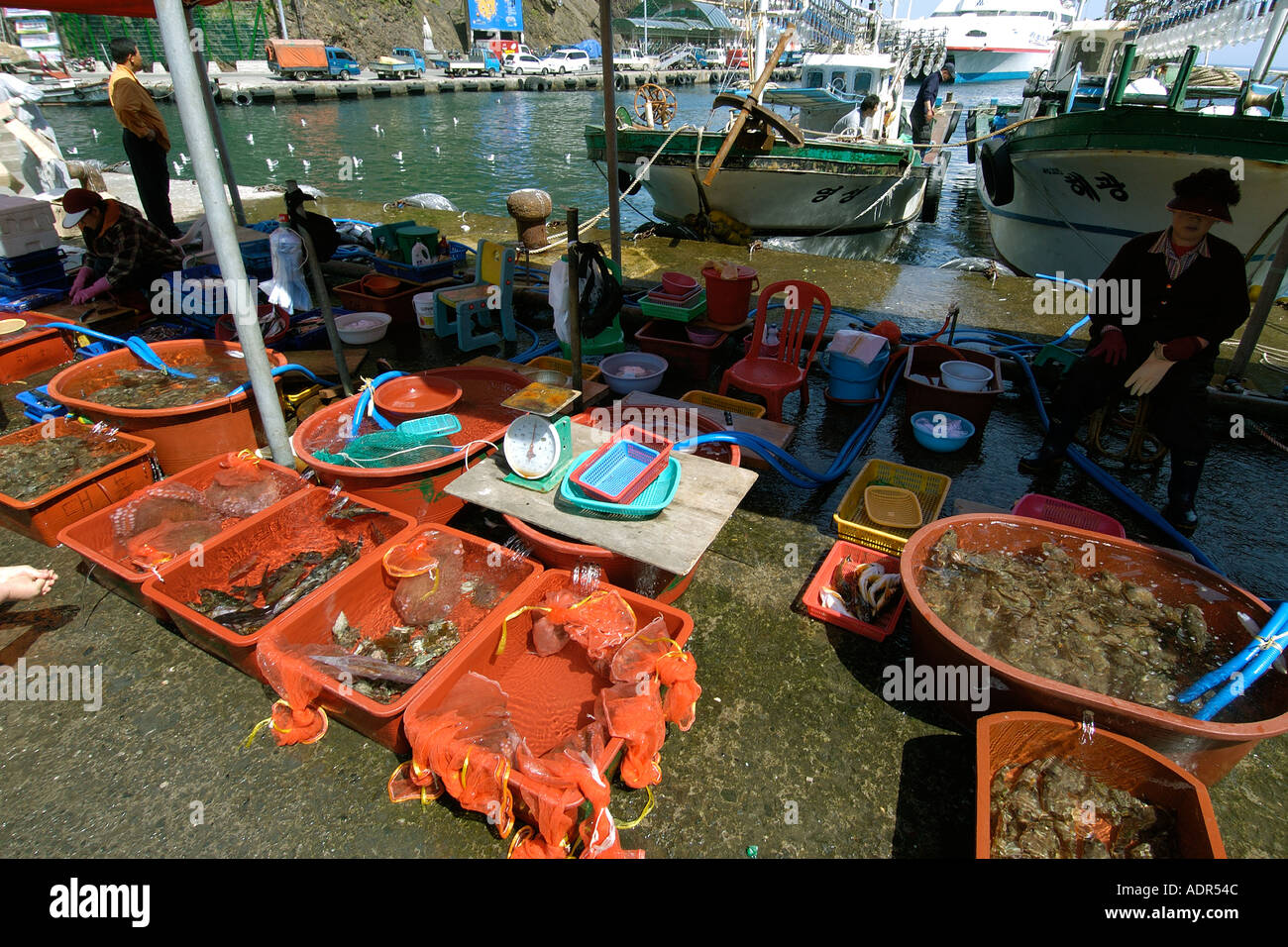 Live fish market hi-res stock photography and images - Alamy