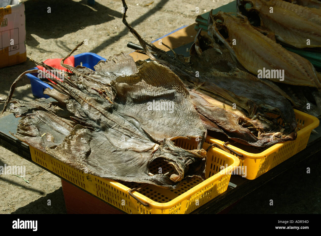 Dried stingrays hi-res stock photography and images - Alamy