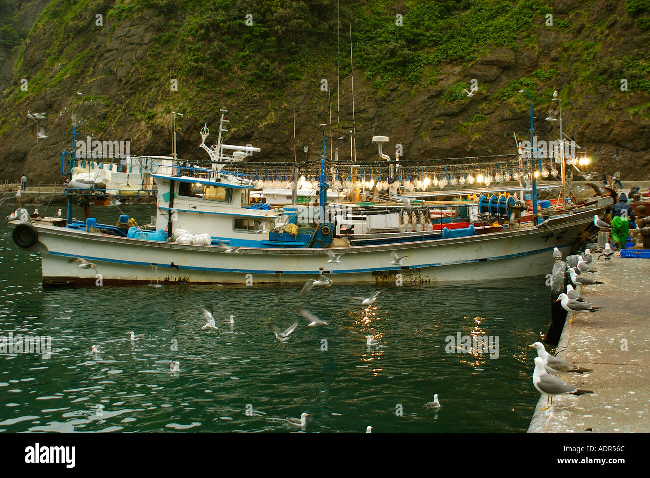 Fishing boats at dusk Dodong Ri harbor Ulleungdo South Korea Stock ...