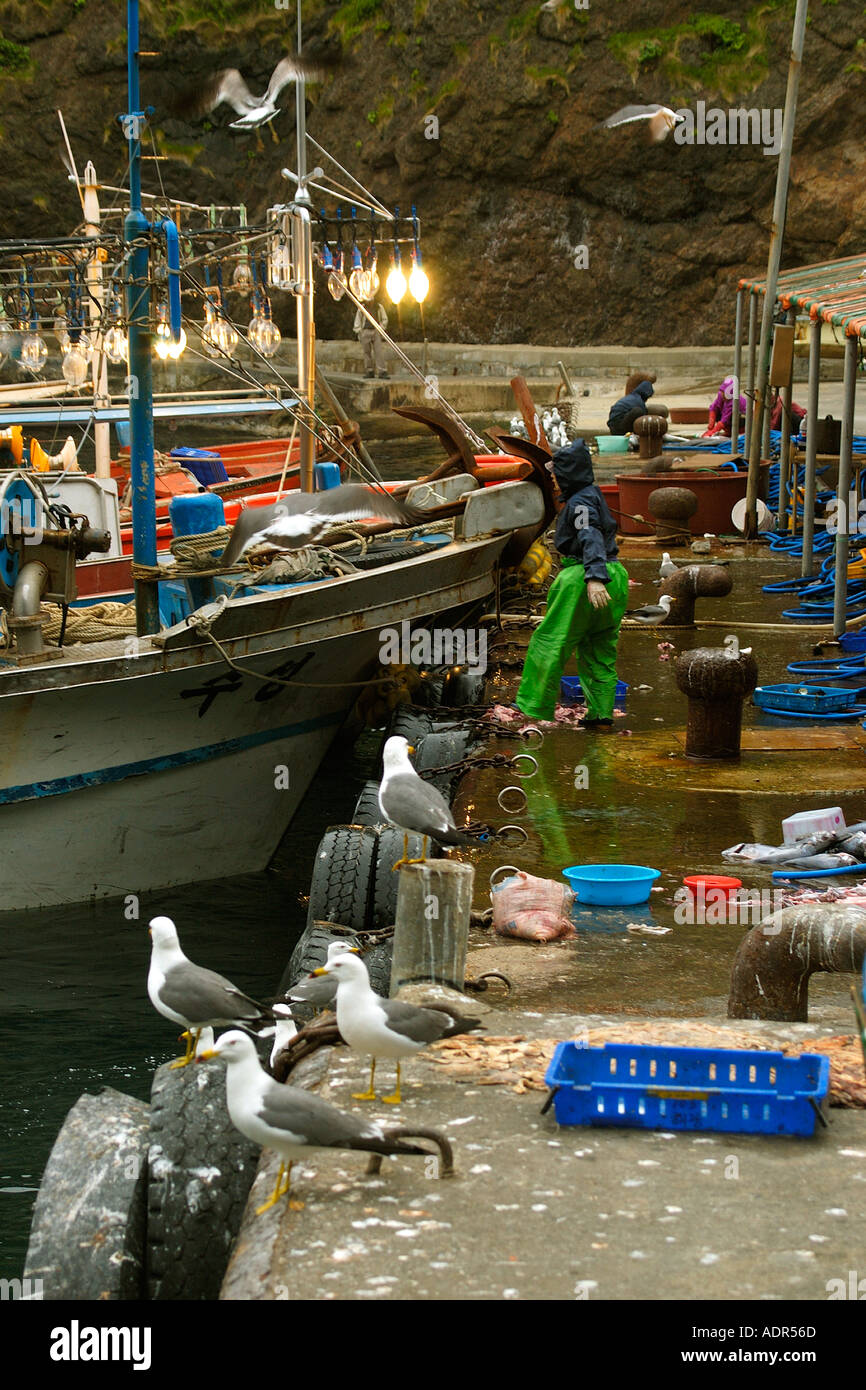 Outdoors fish and seafood market next to main dock at dusk Dodong Ri ...