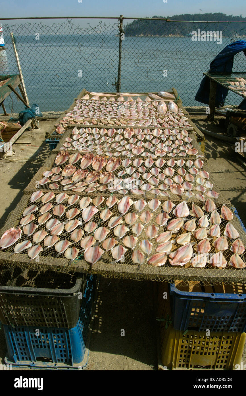 Dried fish drying flat hi-res stock photography and images - Alamy