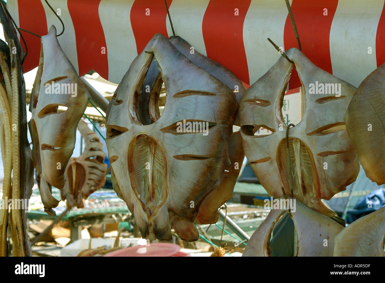 Dried stingrays for sale at a seafood market near Yeongjongdo pier ...