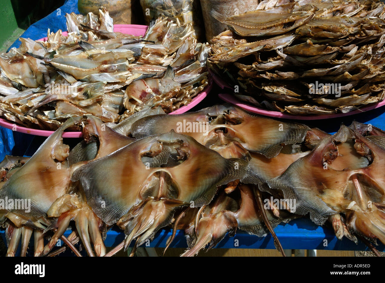 Dried stingrays fish sale seafood hi-res stock photography and images ...