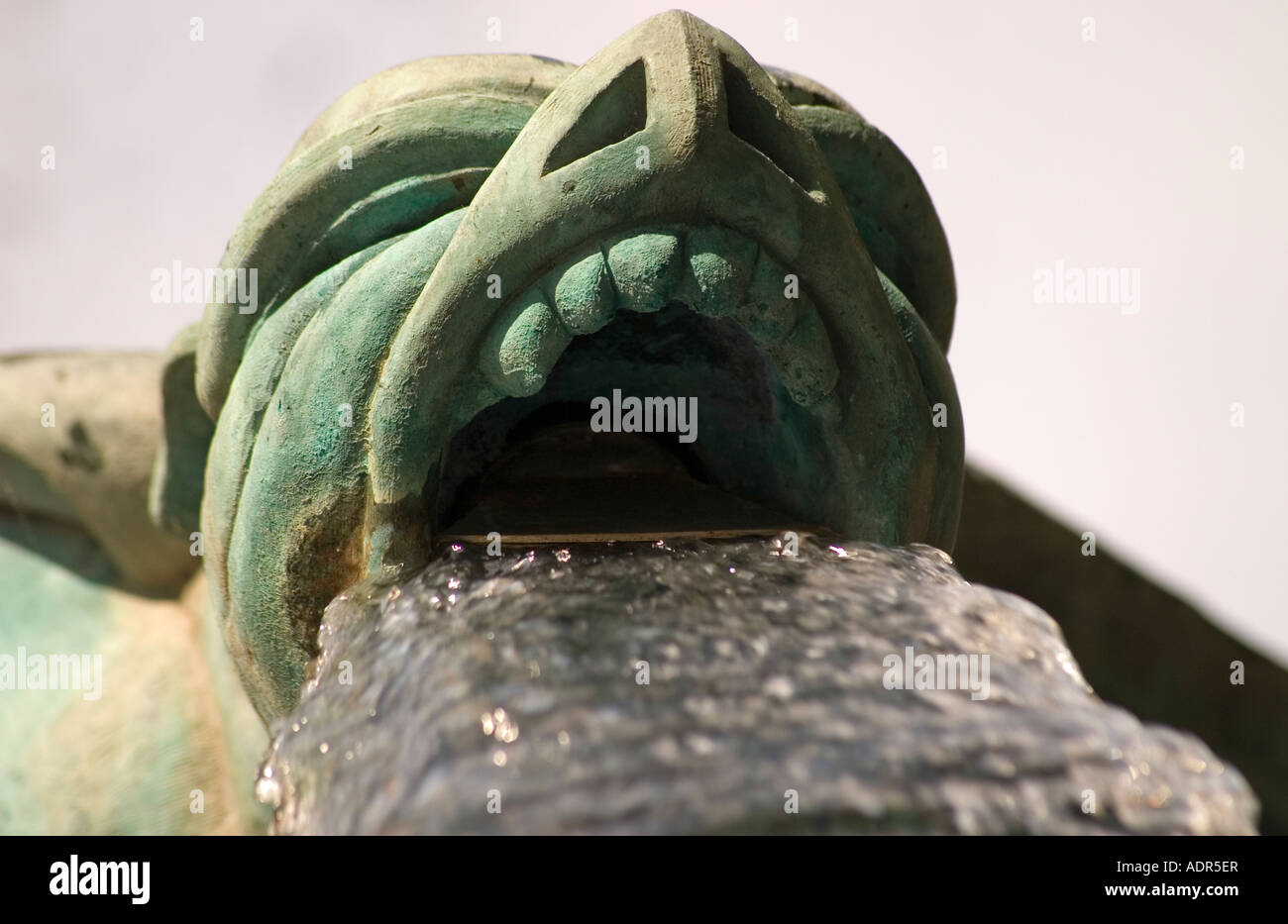 Gargoyle Water Spout Albert Square Manchester Stock Photo - Alamy
