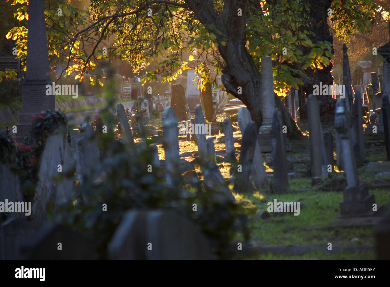 Kensal hi-res stock photography and images - Alamy