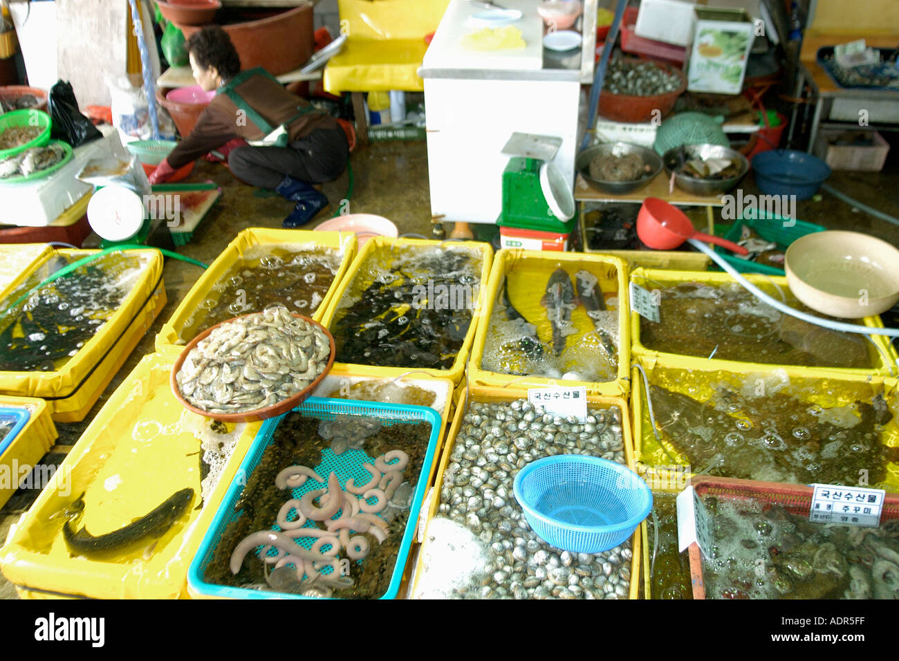 Live seafood market near Yeongjongdo pier Incheon Gyeonggi Do South ...