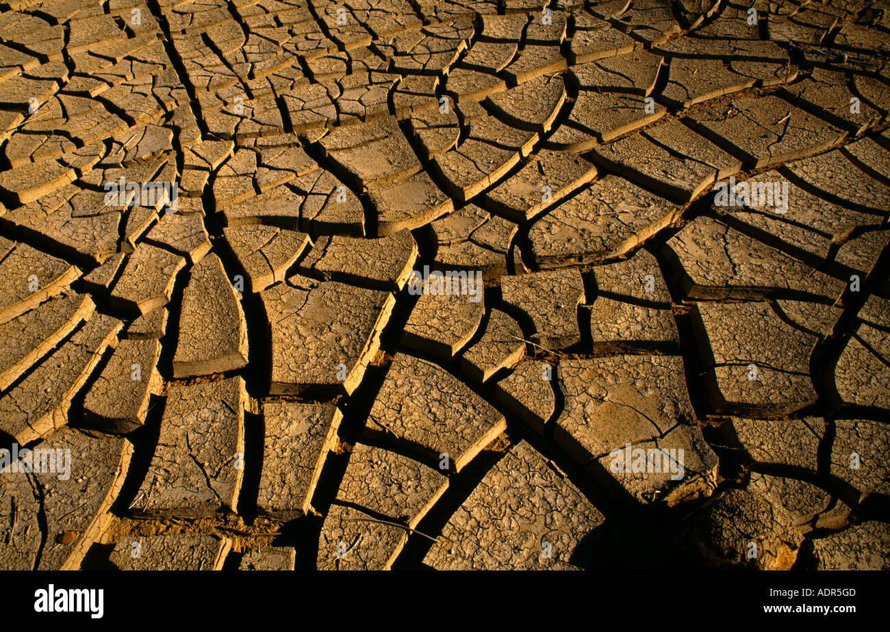 Cracked earth africa river hi-res stock photography and images - Alamy