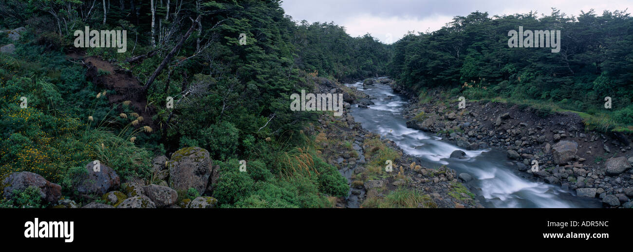 Mahuia river hi-res stock photography and images - Alamy
