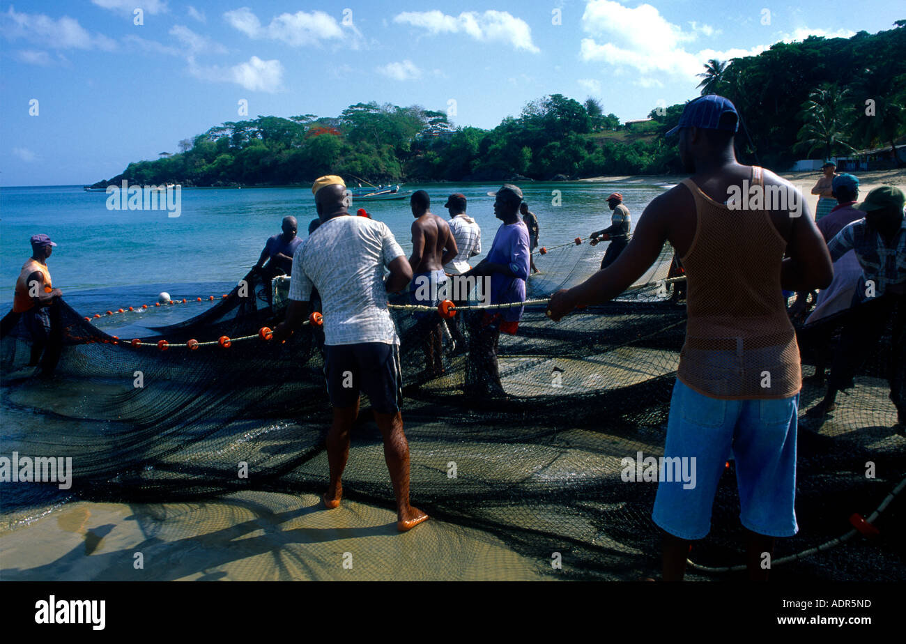 Grafton Beach Tobago Men Bringing In The Catch Fishing Nets Stock Photo ...