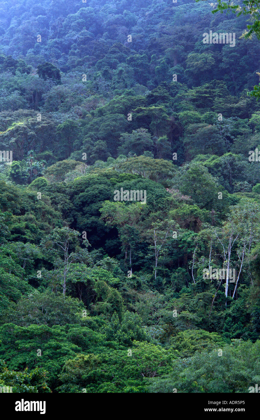 Northern range trinidad hi-res stock photography and images - Alamy