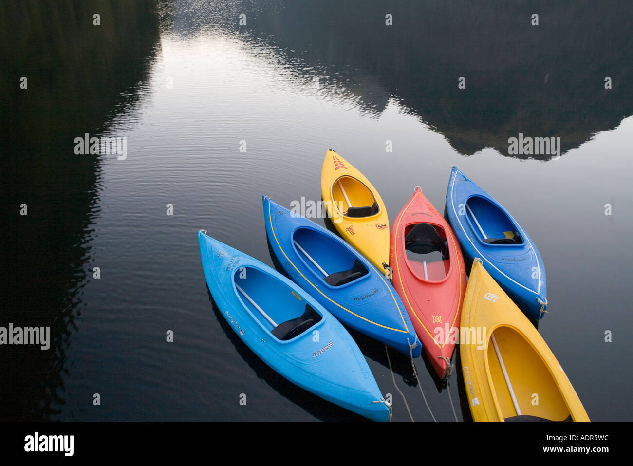 New Zealand South Island Fiordland National Park Colorful plastic ...