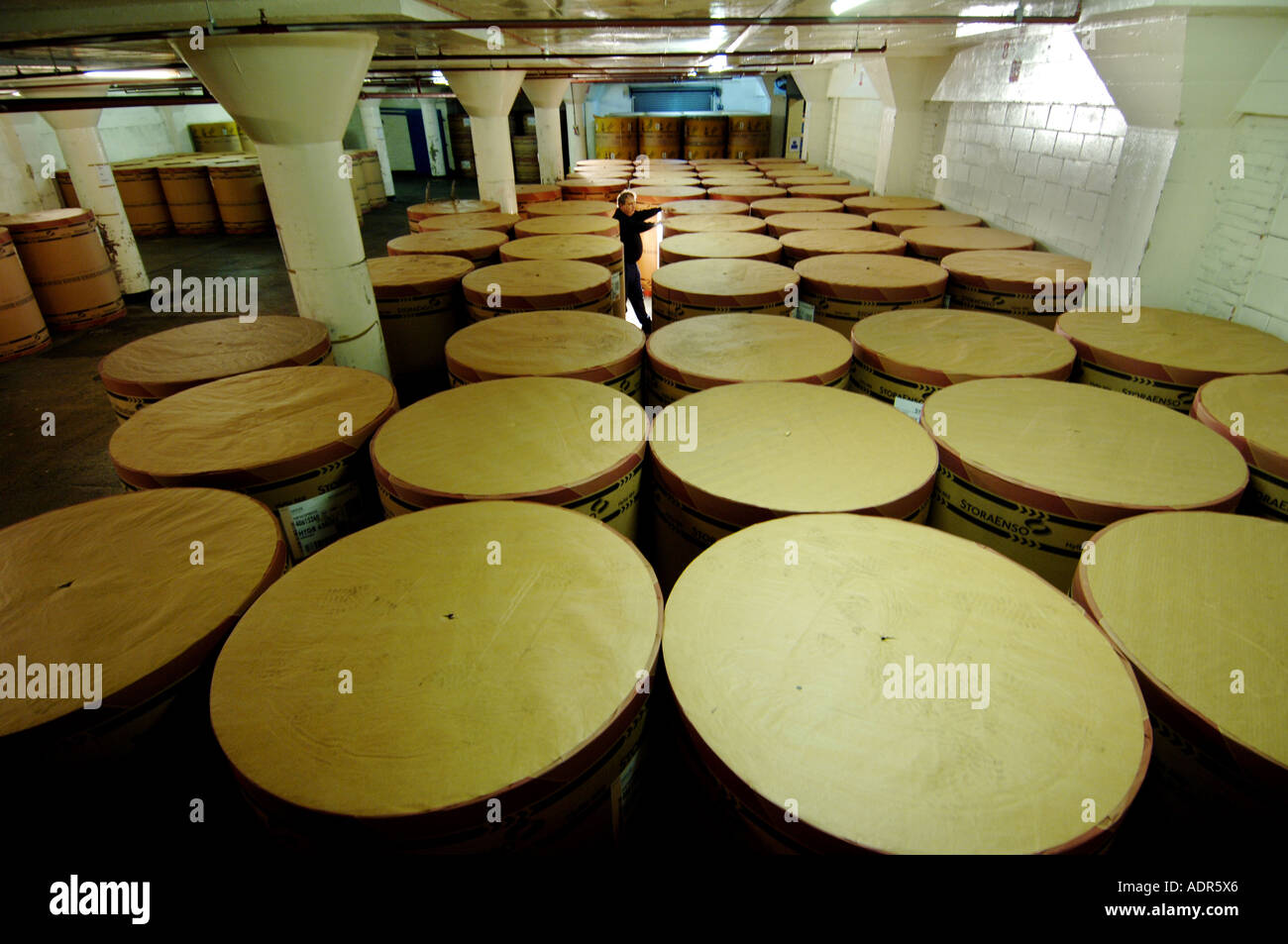 Reels Of Newsprint Paper Which Will Be Used For Printing The Brighton reels-of-newsprint-paper-which-will-be-used-for-printing-the-brighton