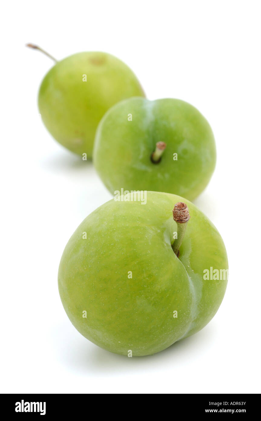 Greengages hi-res stock photography and images - Alamy