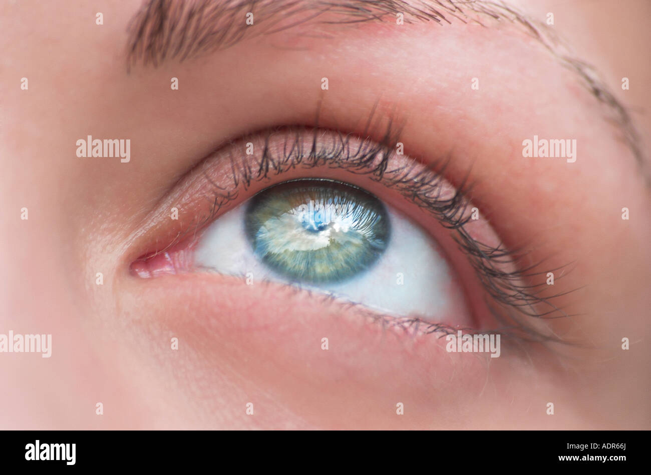 Extreme close up of womans eye looking up blue sky reflecting in eye ...