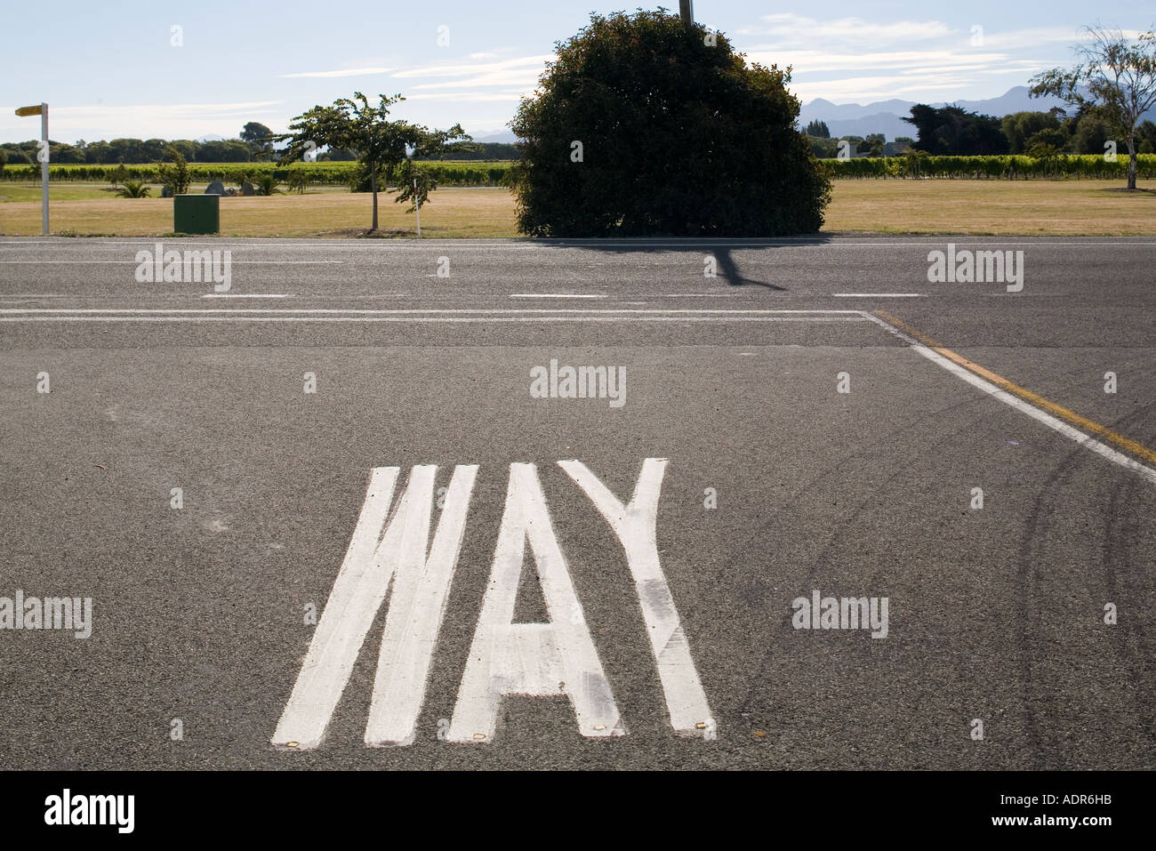 New Zealand South Island Blenheim Way road warning sign painted on ...