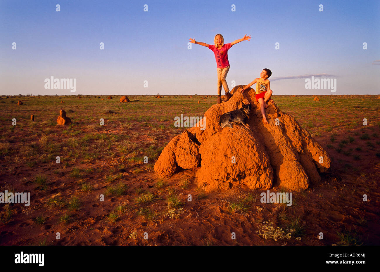 Outback children and dog, “Central Australia” Stock Photo - Alamy