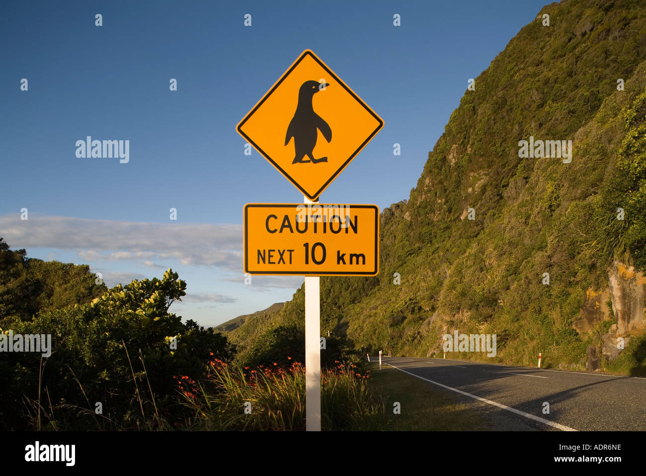 New Zealand South Island Punakaiki Penguin Crossing sign along coast ...