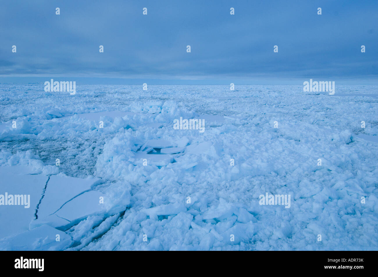 Floe edge is the junction of moving pack ice and land stuck sea ice ...