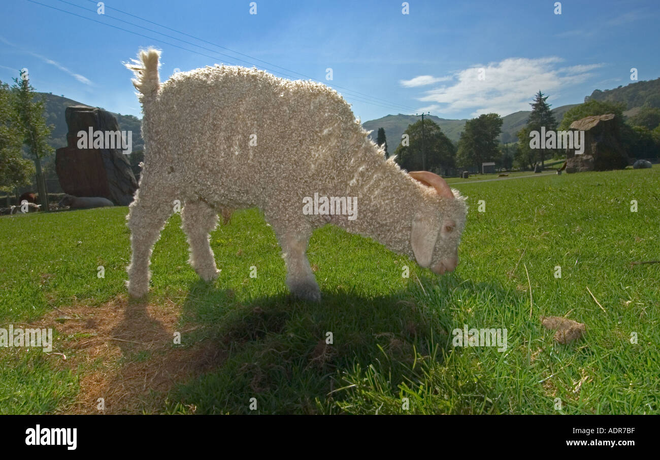 The national showcaves centre for wales hi-res stock photography and ...