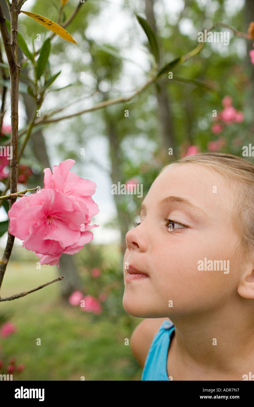 Girl smelling a flower Stock Photo - Alamy