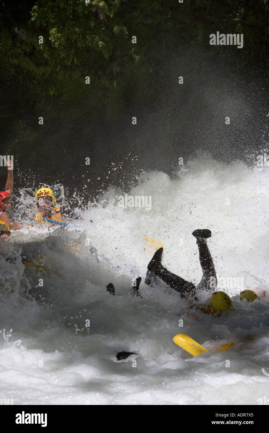 New Zealand North Island Rotorua White water rafters paddling over ...
