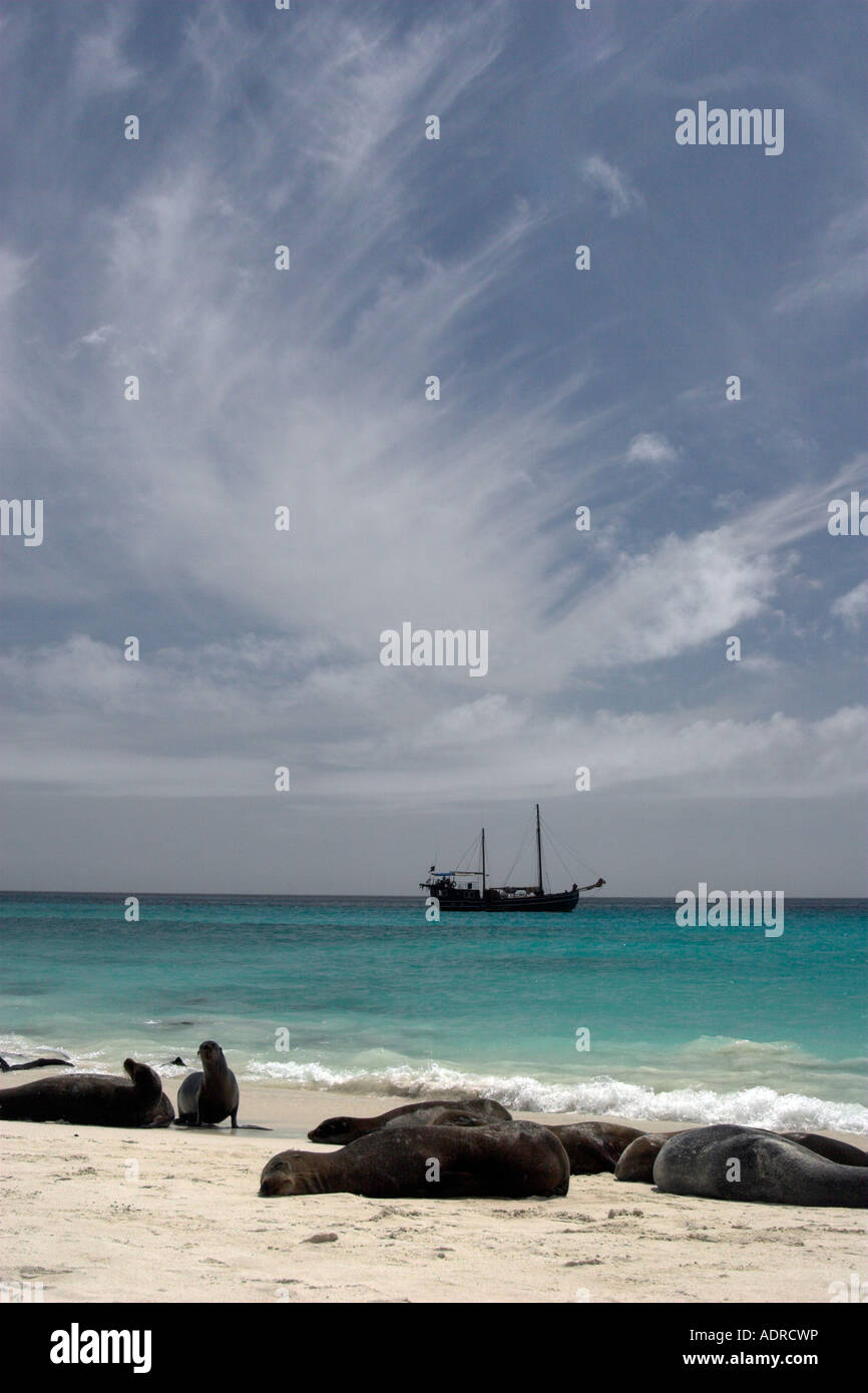 "Gardner Bay" [Espanola Island] [Galapagos Islands], "sea lions" on ...