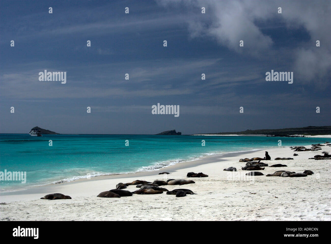 "Gardner Bay" [Espanola Island] [Galapagos Islands], beautiful white ...