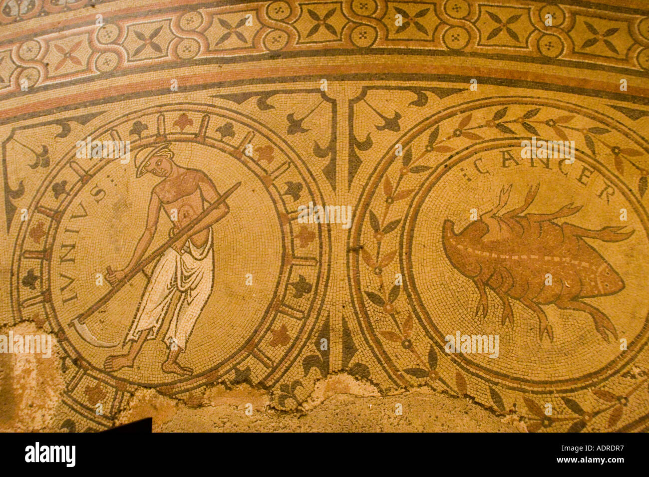 Roman mosiacs representing the signs of the zodiac, Eglise St Philibert ...