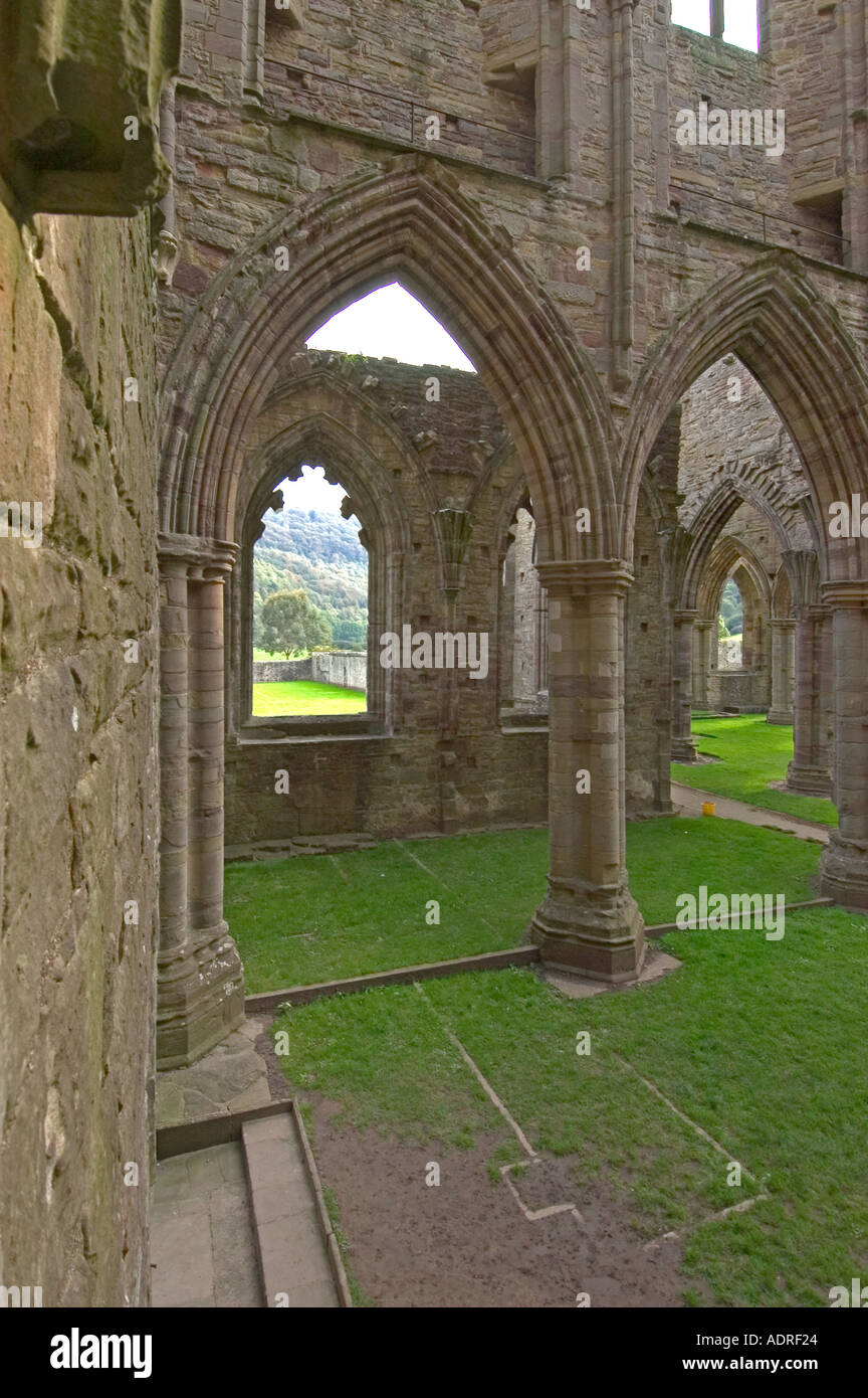 The Ruins of Tintern Abbey, Wales, UK Stock Photo - Alamy