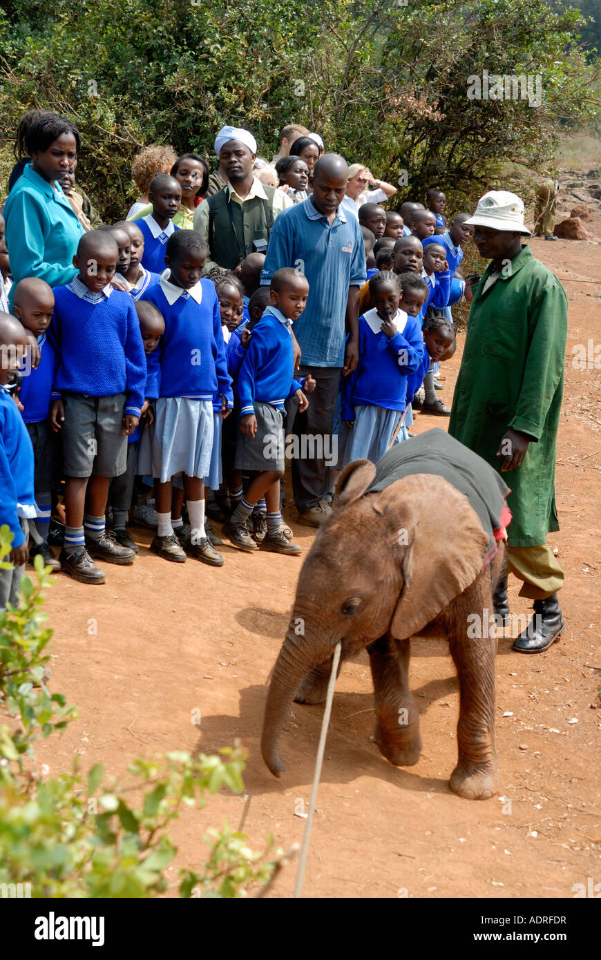 A charming group of young primary school children meeting a baby ...